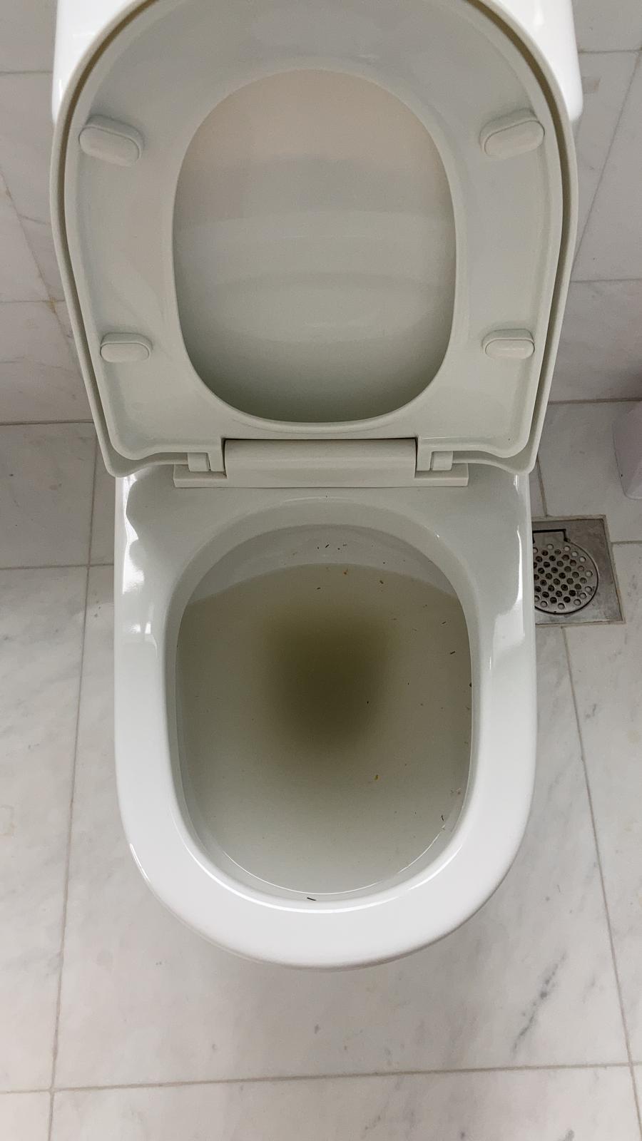 Solutions for Clogged Toilet & Why Our WC Choke So Frequently