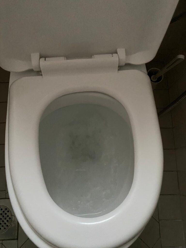 Solutions for Clogged Toilet & Why Our WC Choke So Frequently