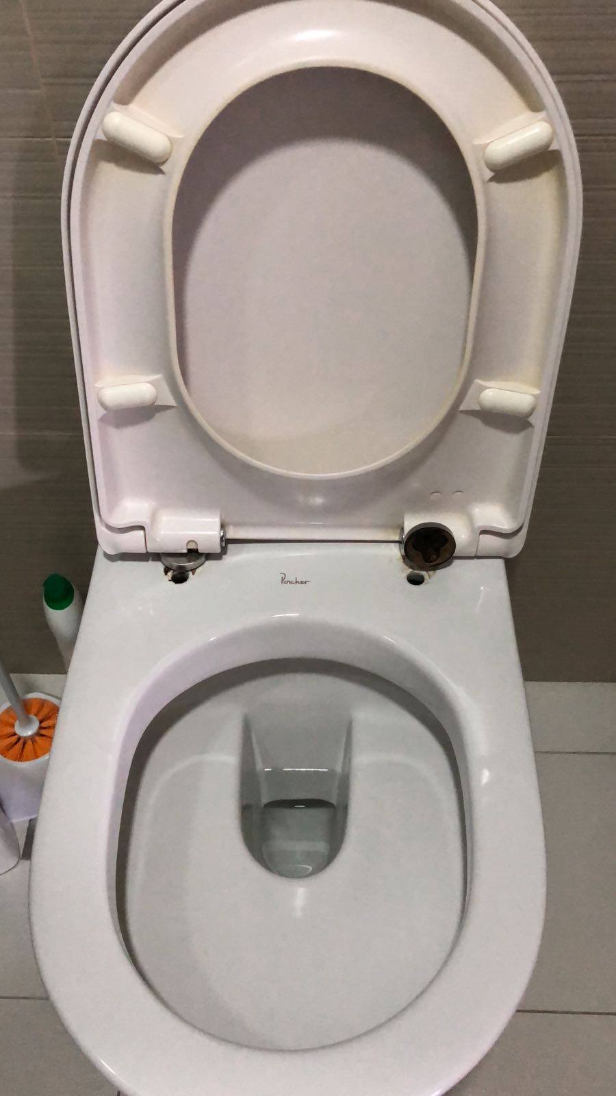 Corroded Toilet Seat Bolts at Rebecca Castillo blog