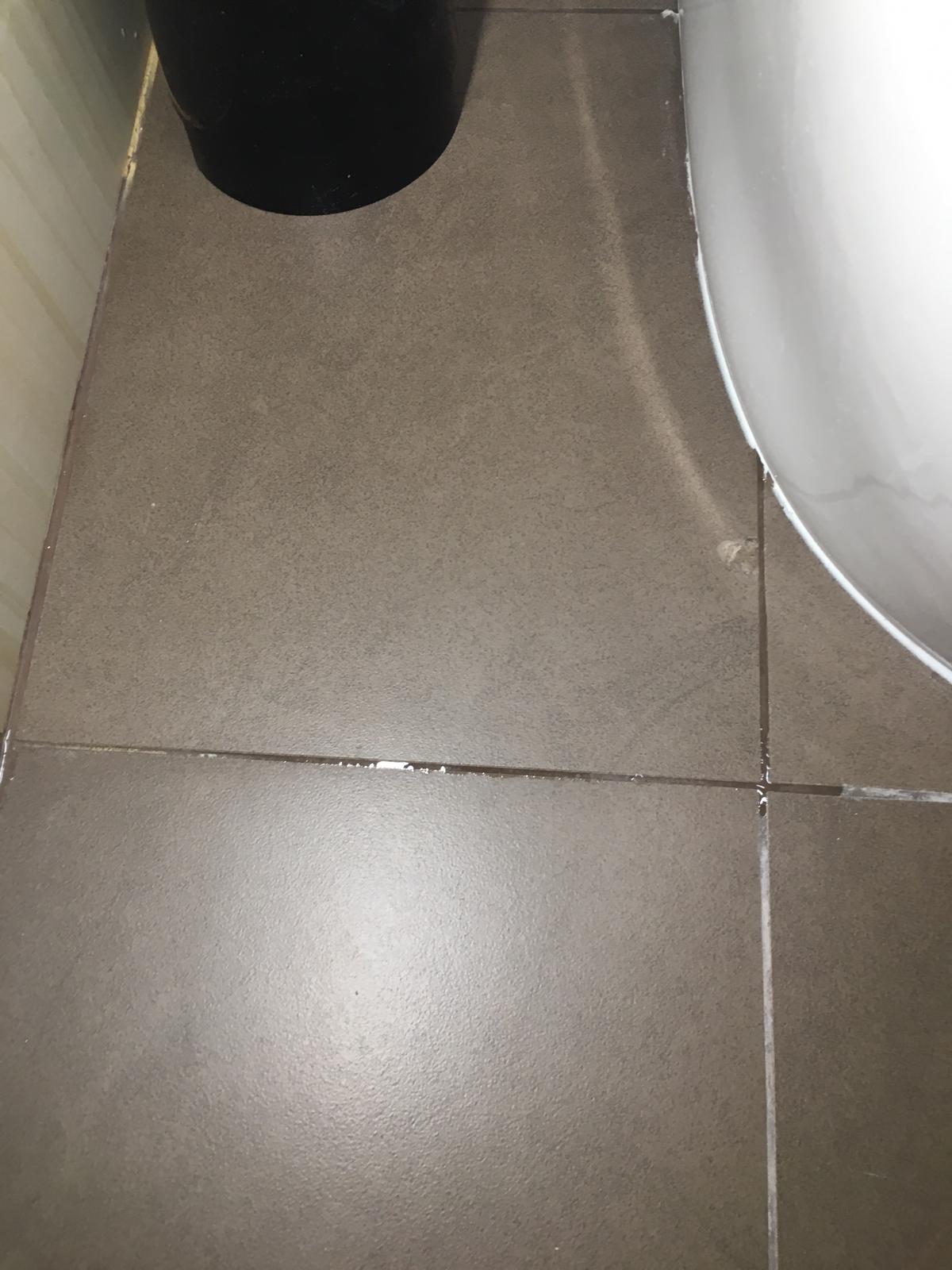 Leaking Toilet - Identify Signs, Common Causes and Solutions