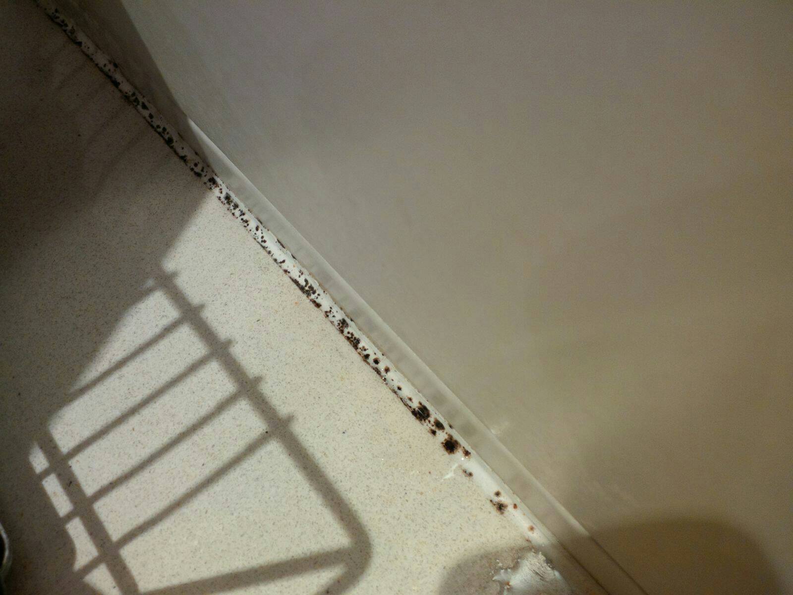 How To Get Rid Of Mould And Mildew | Tips To Remove Mould