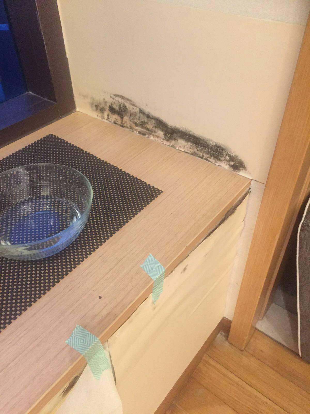 How To Get Rid Of Mould And Mildew | Tips To Remove Mould